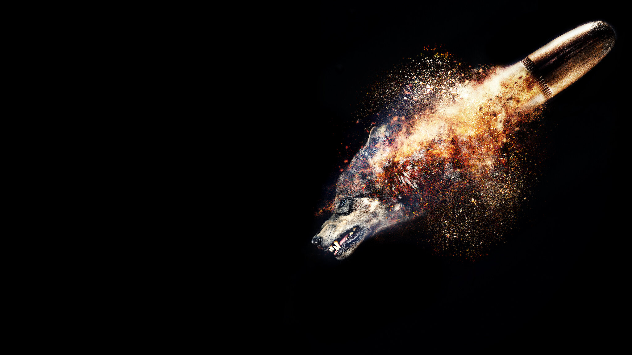 Watch Wolf | Netflix Official Site