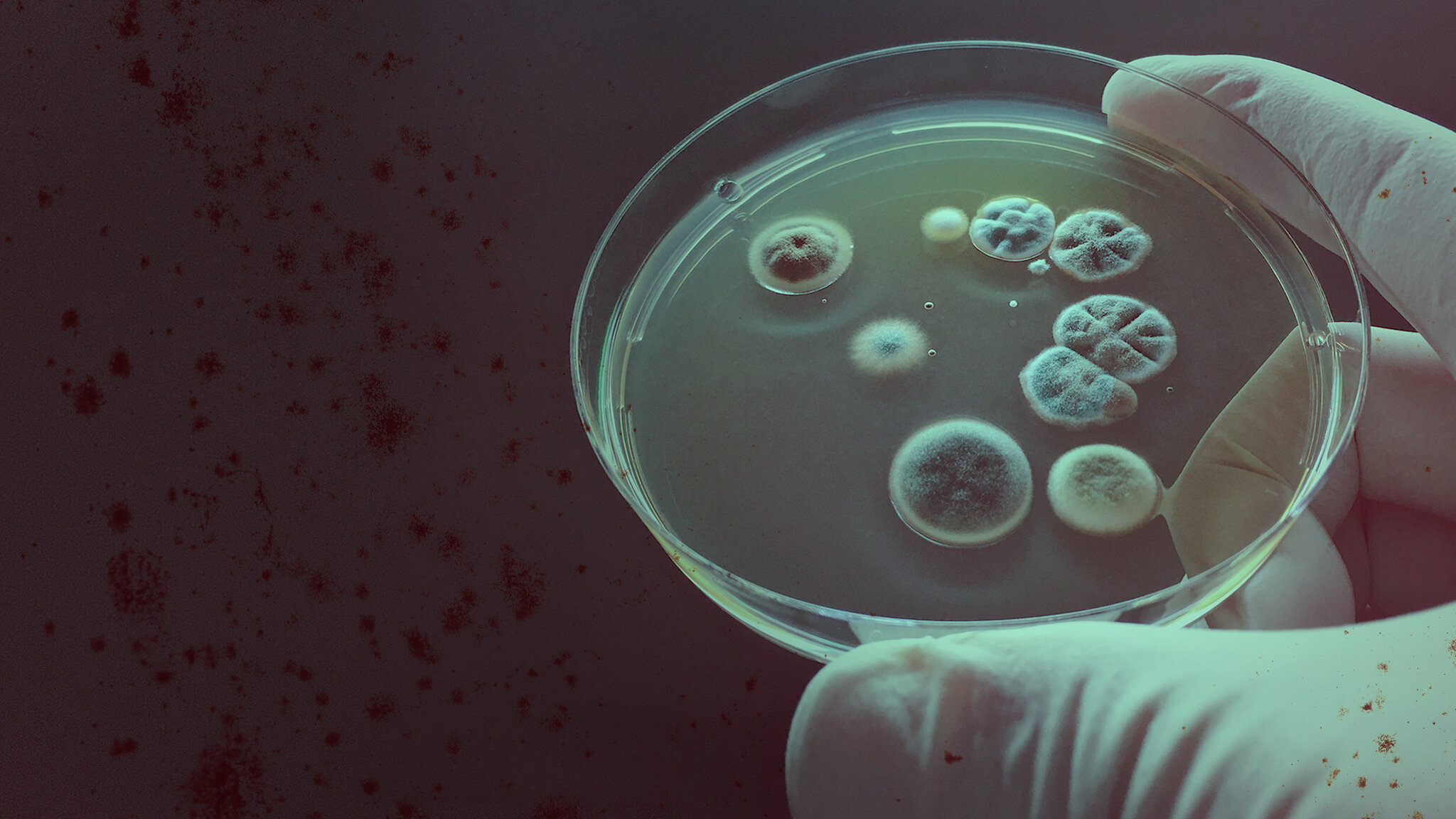 Watch Afflicted | Netflix Official Site