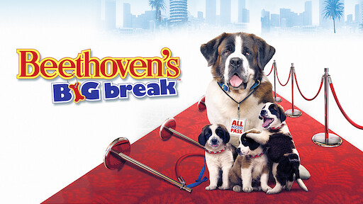 Watch Benji | Netflix Official Site