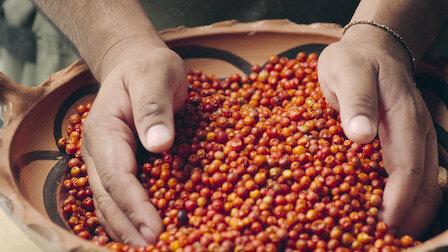 Watch Taco Chronicles | Netflix Official Site