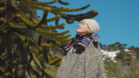 Watch Magical Andes | Netflix Official Site