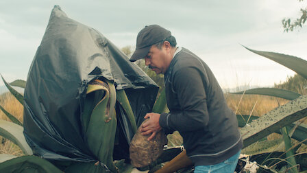 Watch Taco Chronicles | Netflix Official Site