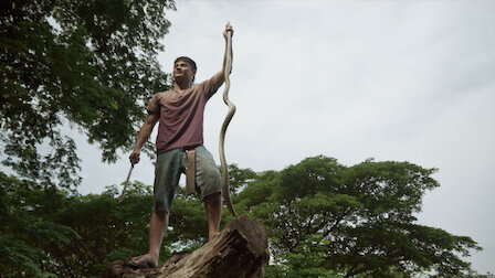 Watch Amo | Netflix Official Site