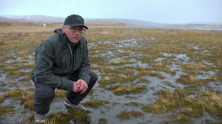 Watch Pirate Gold of Adak Island | Netflix Official Site