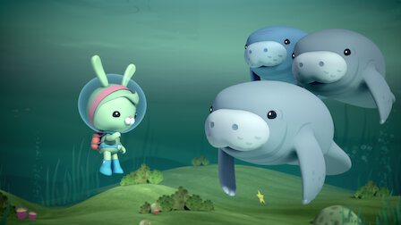 Watch Octonauts | Netflix