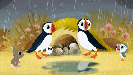 Watch Puffin Rock | Netflix Official Site