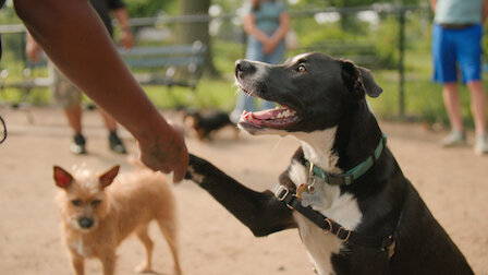 Watch The Future Of | Netflix Official Site