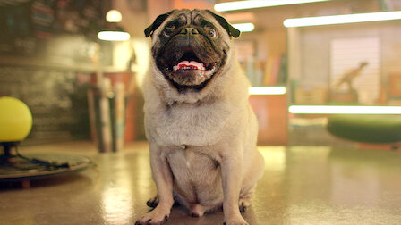 Watch Mystery Lab | Netflix Official Site