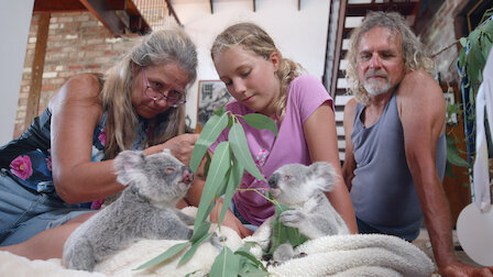 Watch Izzy's Koala World | Netflix Official Site