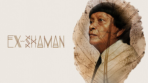 Watch 13TH | Netflix Official Site